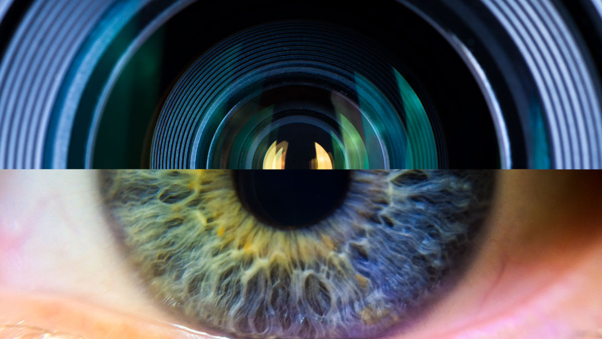 New AI tech to bring human-like understanding of our 3D world ...