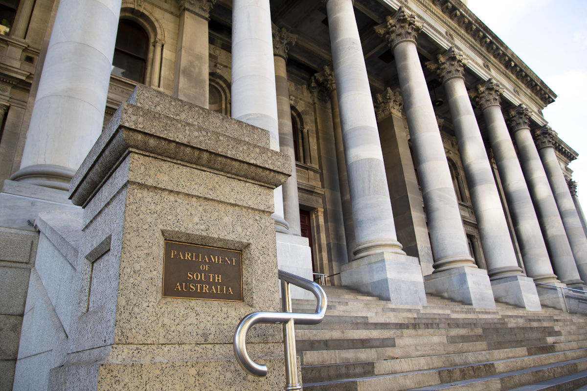 Parliament hears how SA is leading the way in AI research and ...