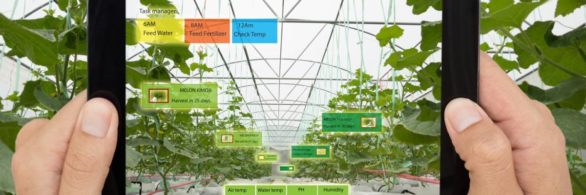 Agriculture and food | Australian Institute for Machine Learning (AIML ...