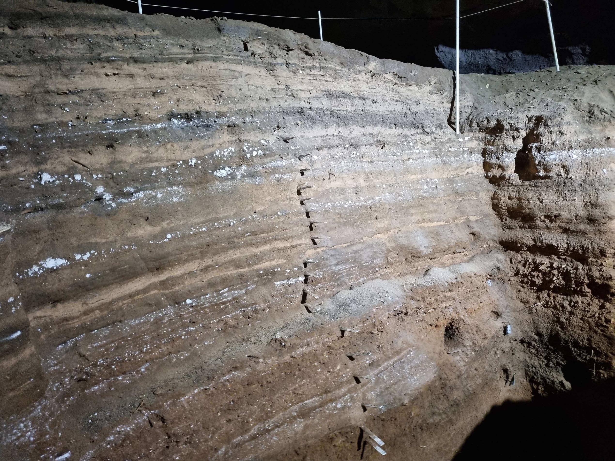 A glimpse into the past: What digging for DNA in cave dirt tells us ...