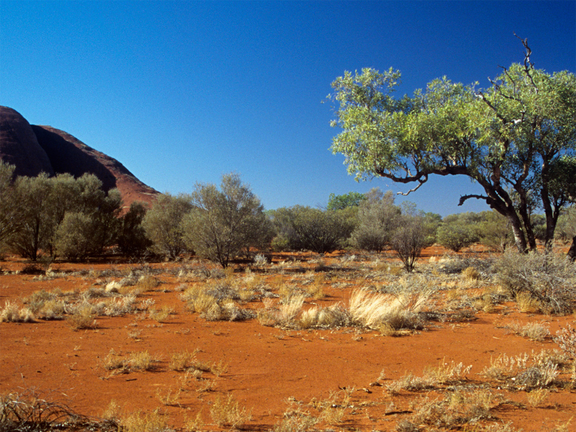 Booms, Busts, and Breakthroughs: 30 years of Science at Arid Recovery ...