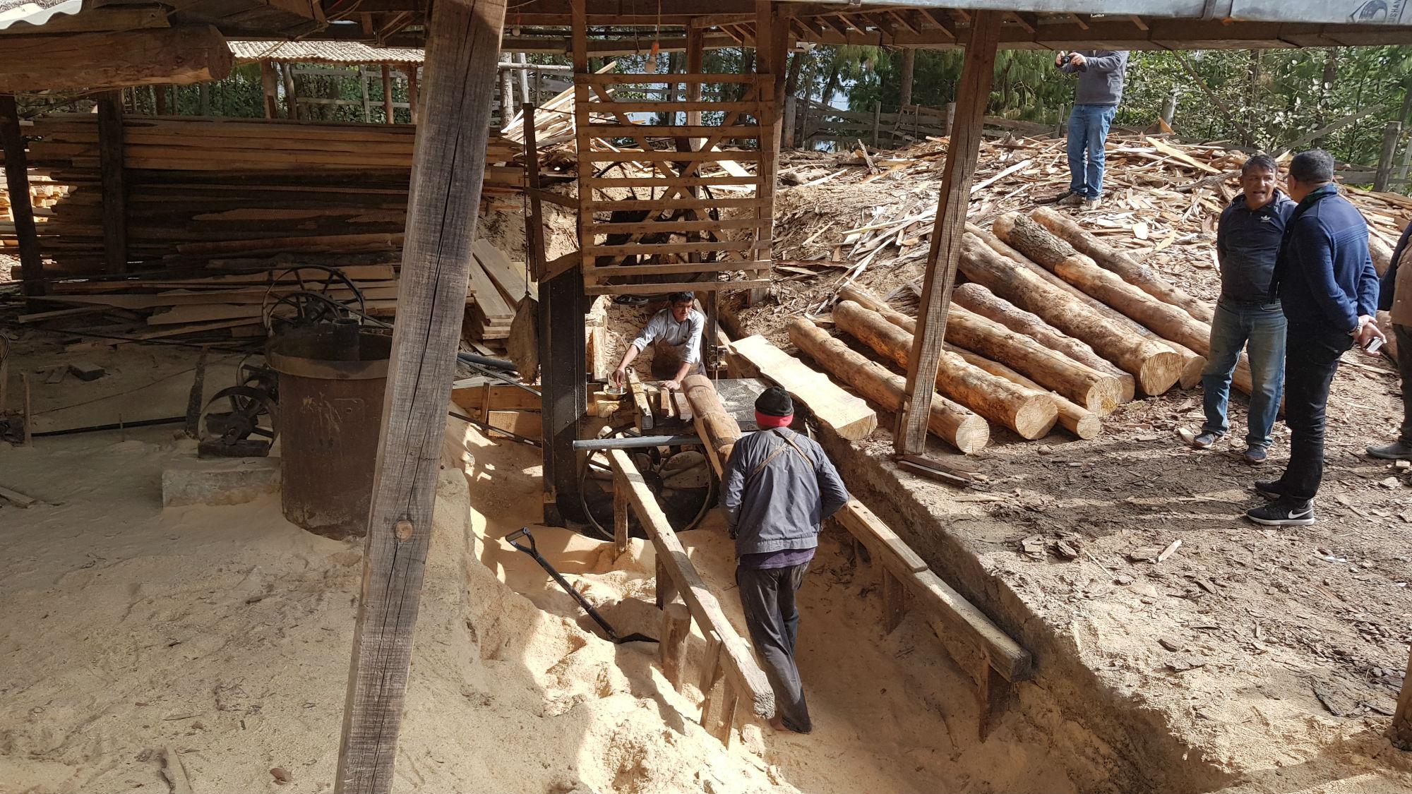 Enhancing livelihoods from improved forest management in Nepal | The ...