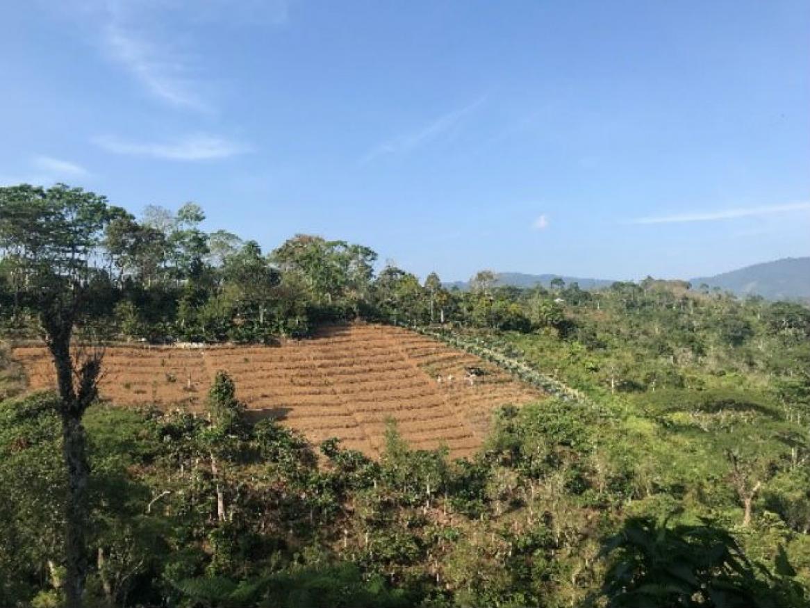 International Development | The Centre for Global Food and Resources ...