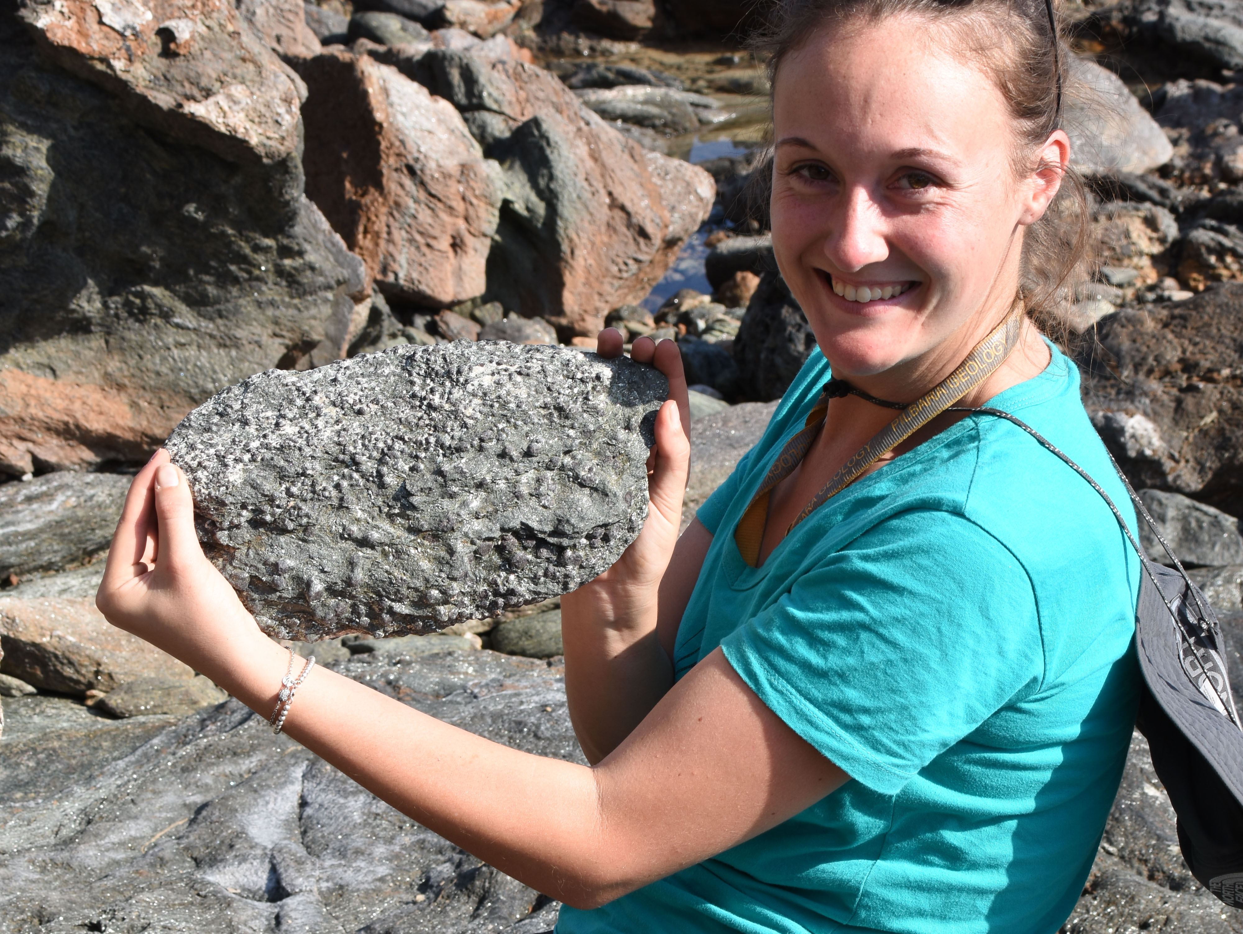 Earth Sciences celebrate Geological Society award winners | Institute ...