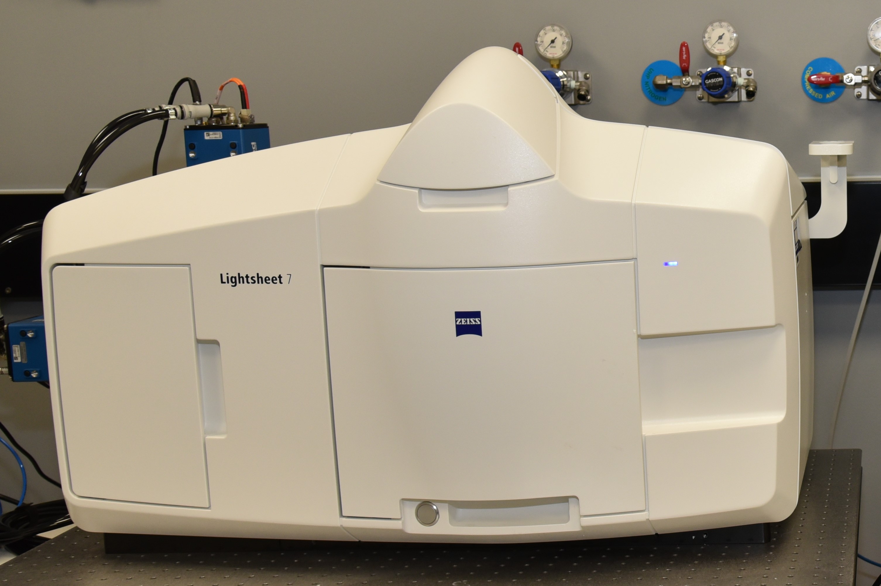 Light Sheet Microscopy Nikon | Shelly Lighting