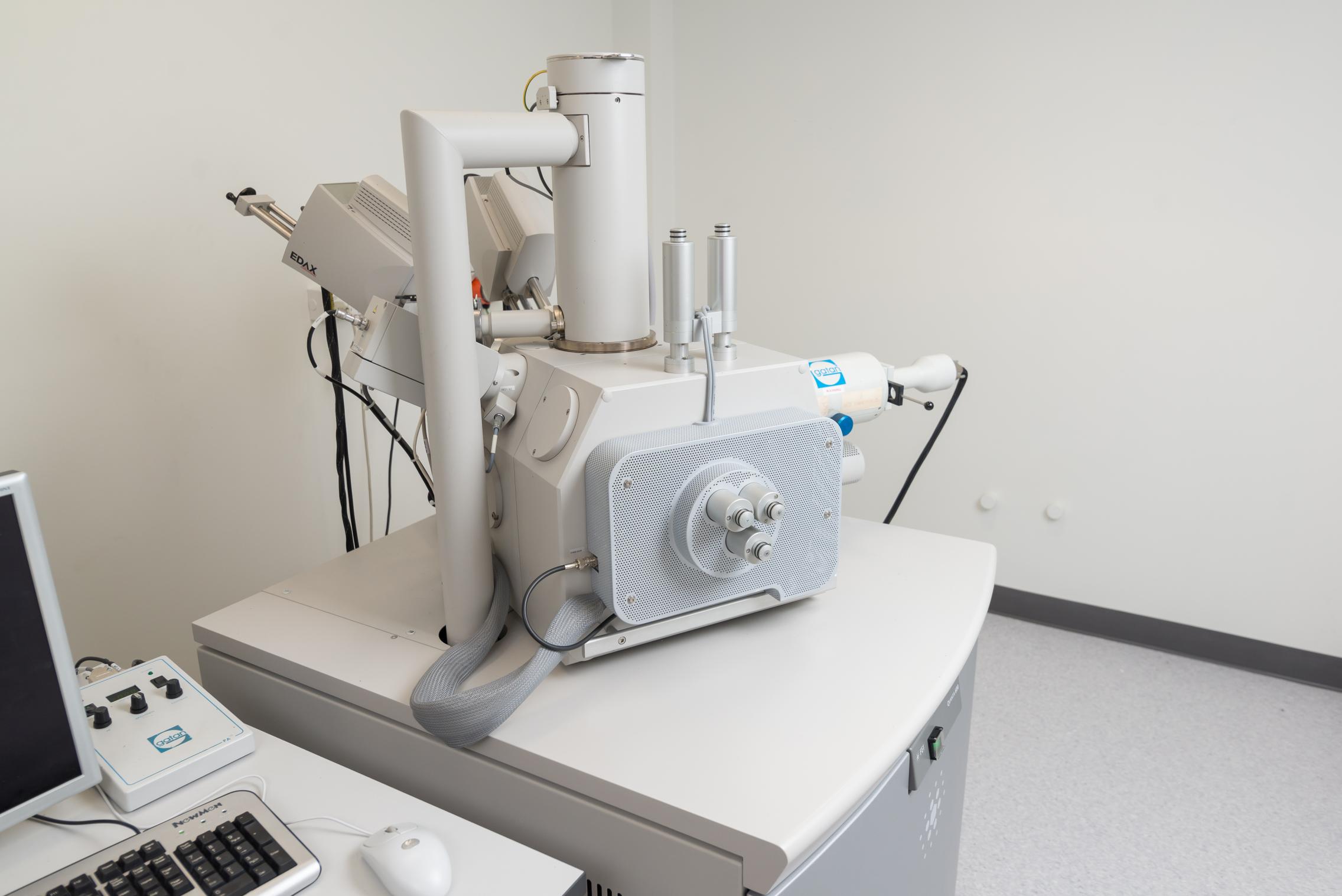 Scanning Electron Microscopes (SEM) | Adelaide Microscopy | University ... Scanning Electron Microscopes (SEM) | Adelaide Microscopy | University ...