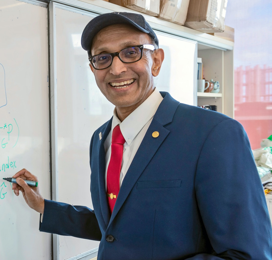 Medal recognises research achievement and support for mathematics ...