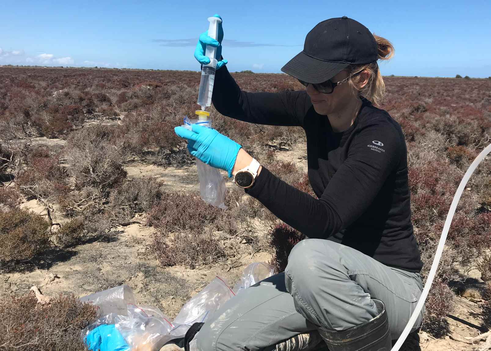 New method to detect impact of sea level rise | Newsroom | University ...