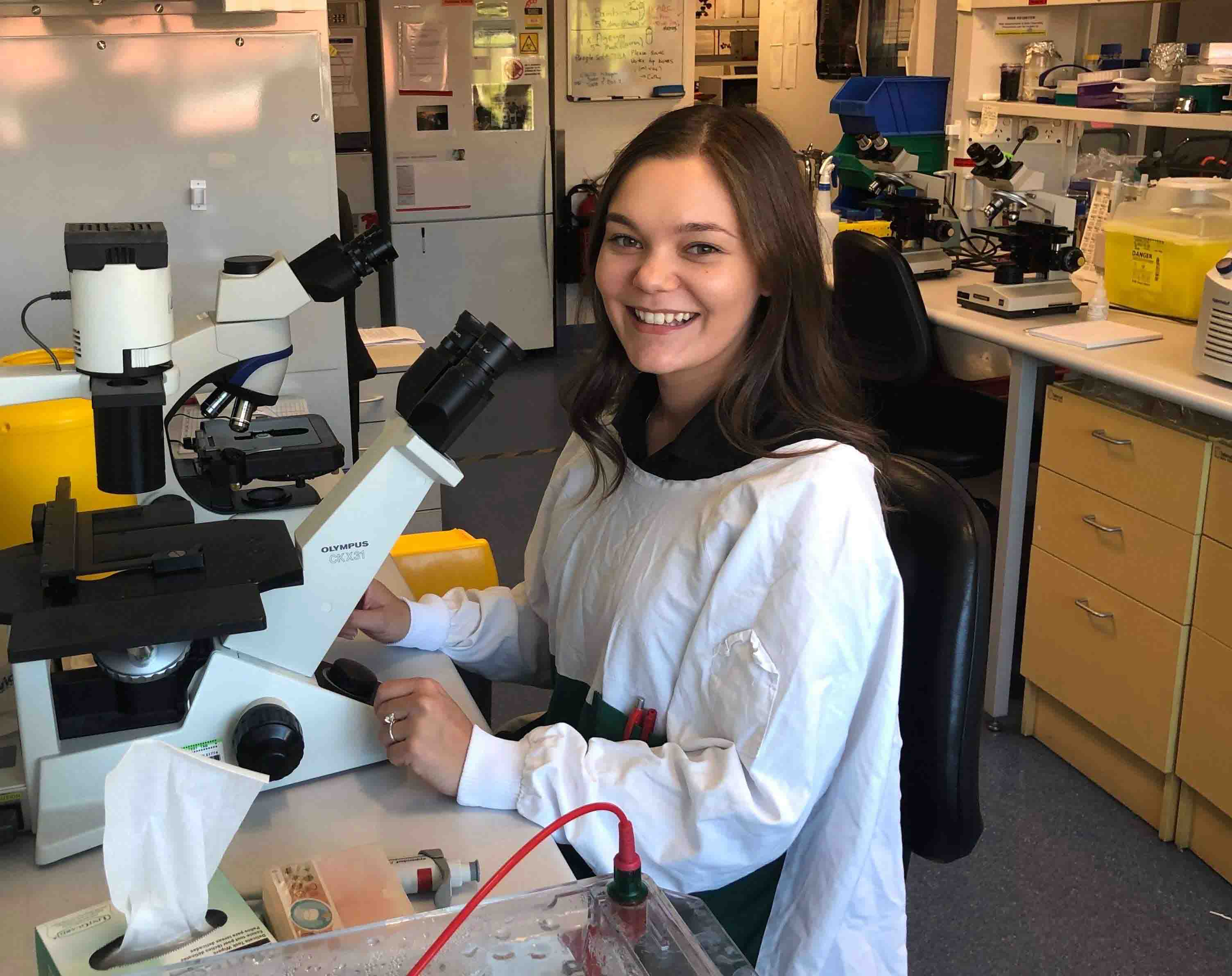 Researchers discover a new approach to breaking bacterial antibiotic ...