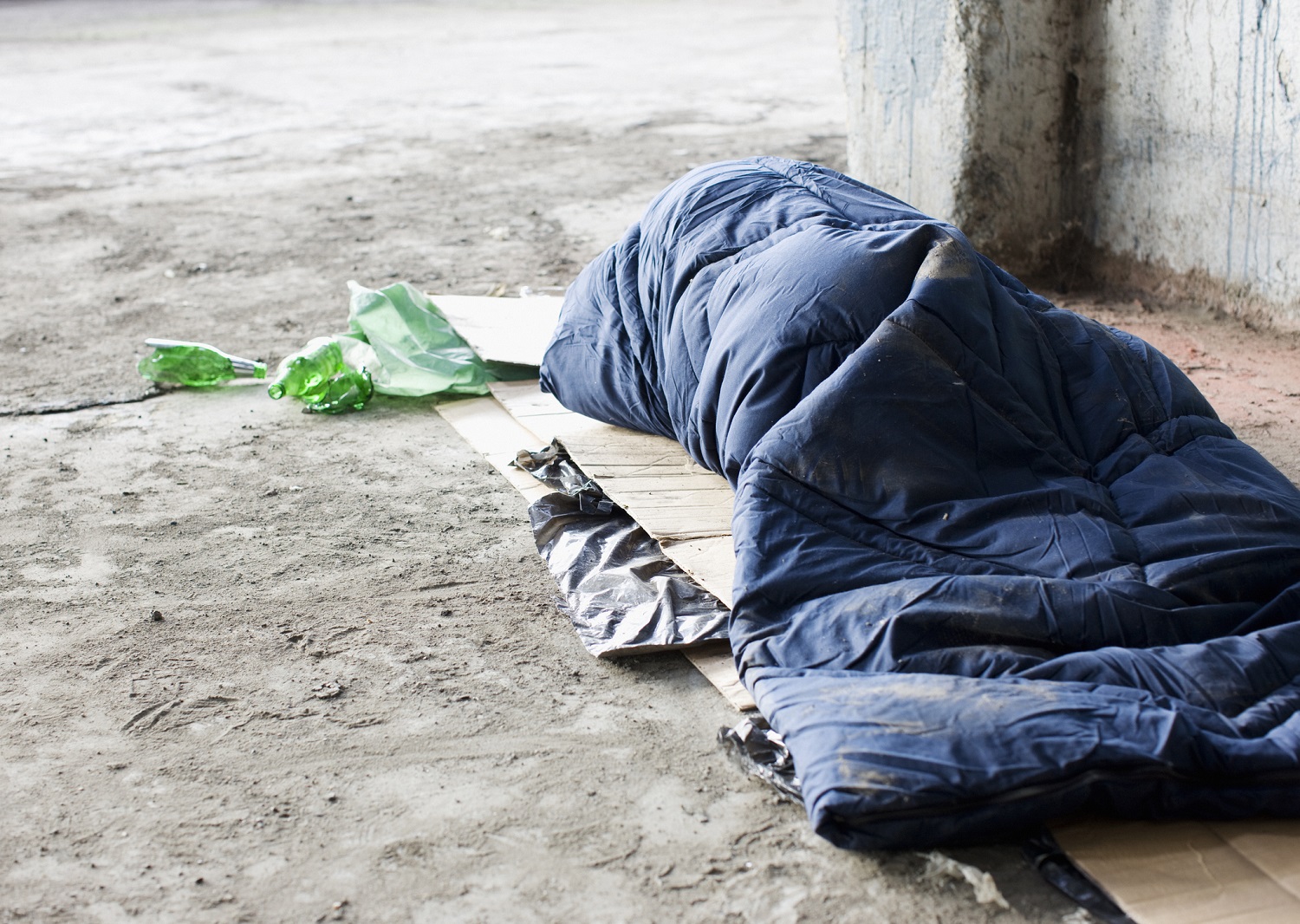 Painting an accurate profile of Adelaide’s homeless | Newsroom ...