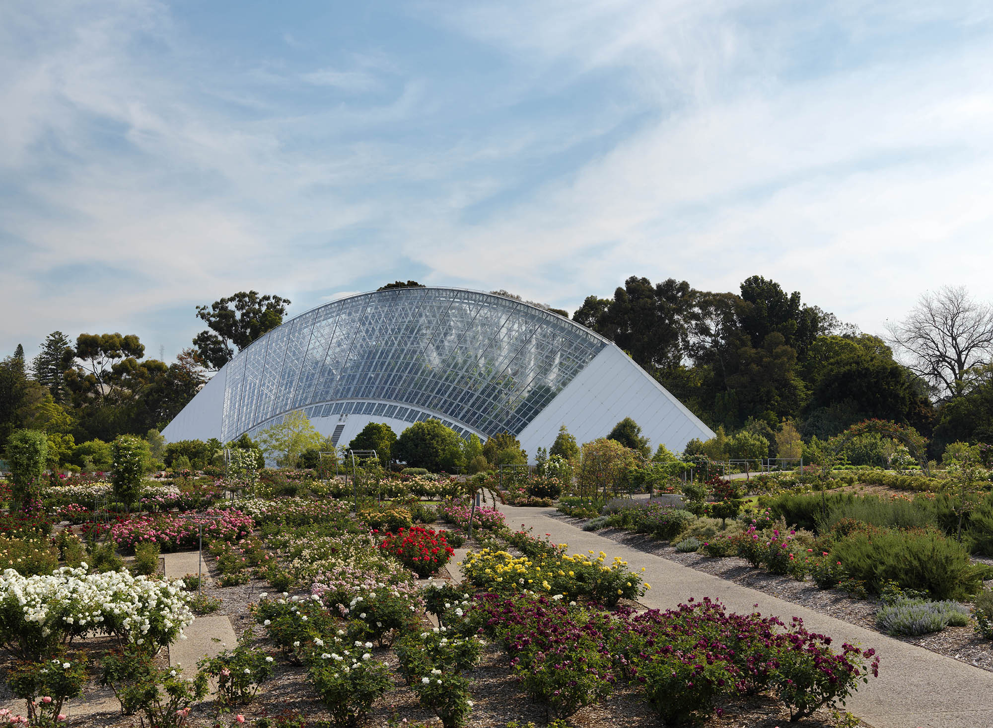 Make History Speaker Series: Behind the Scenes in Adelaide Botanic ...