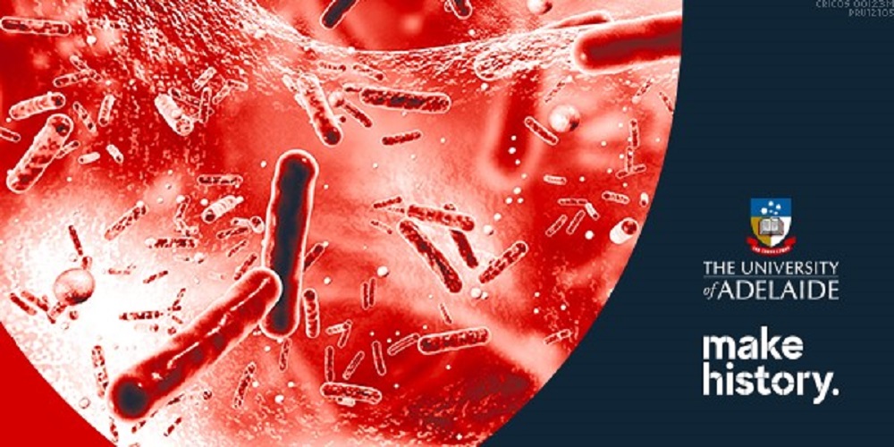 Antibiotic-resistant superbugs threaten global health | Newsroom ...