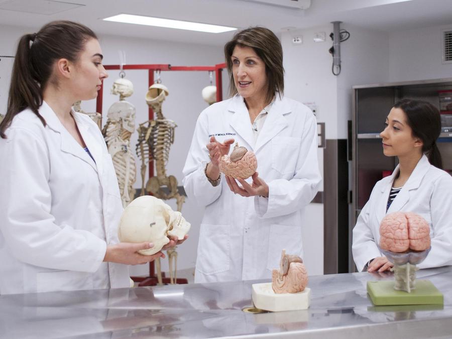 Faculty session | Health and Medical Sciences (HMS) | Orientation ...