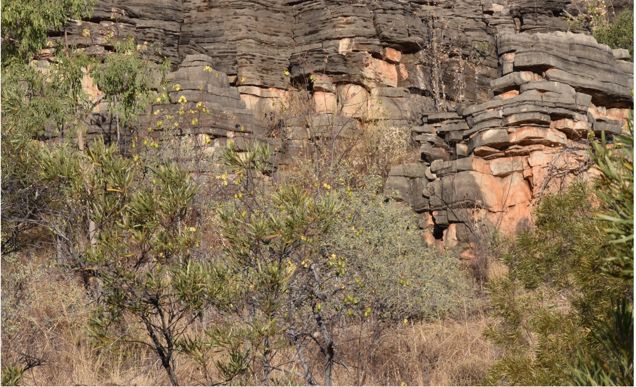 An evolutionary blast from the past | Research & Innovation ...