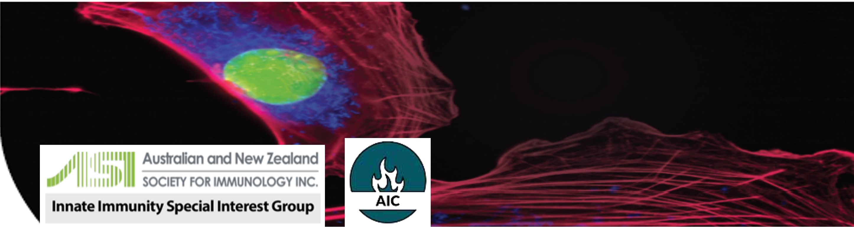 Australian Inflammation Centres (AIC) 2025 Annual Symposium | South ...