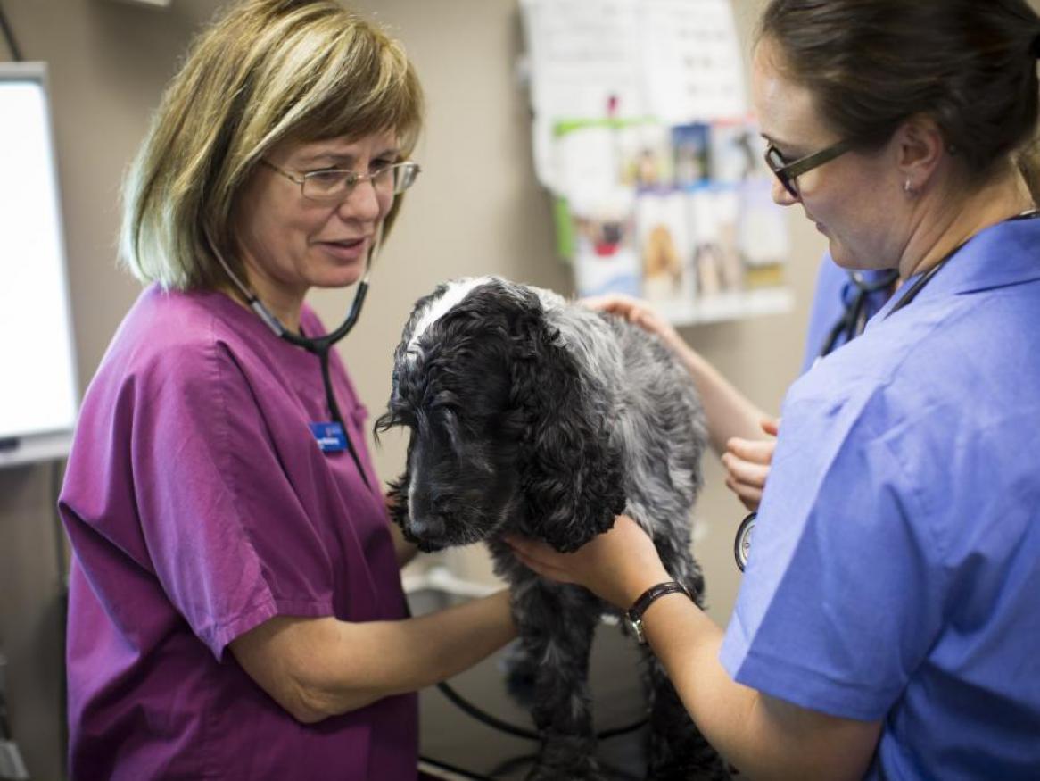 New Starter | Staff Induction | University of Adelaide