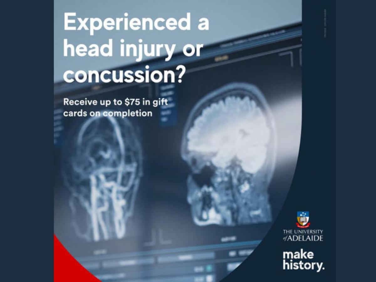 Direct Impact: Your Brain Can Change Traumatic Brain Injury (TBI ... Direct Impact: Your Brain Can Change Traumatic Brain Injury (TBI ...