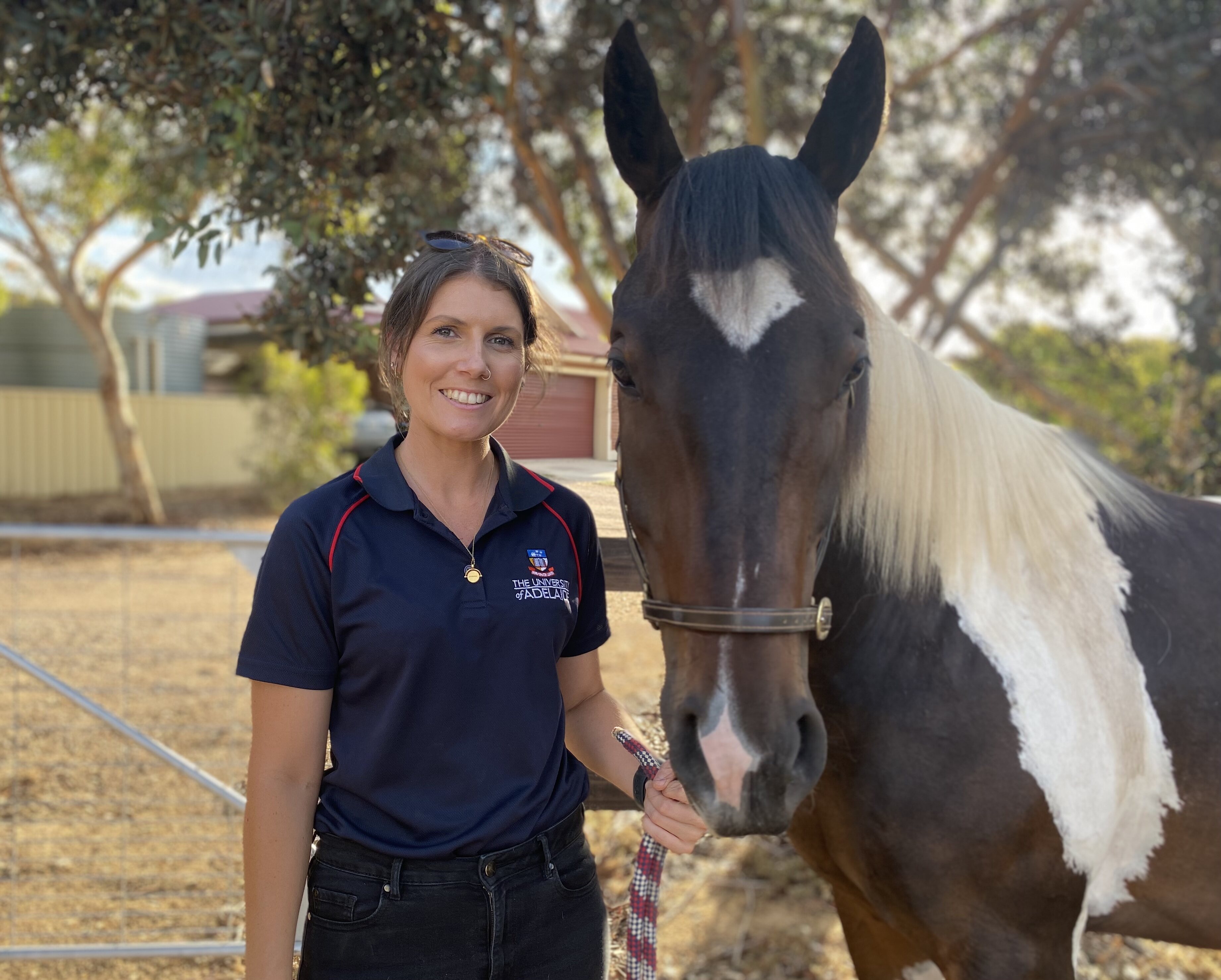 Equine & Livestock Services | Roseworthy Veterinary Hospital ...