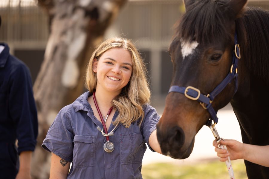 Equine Reproduction | Roseworthy Veterinary Hospital | University of ...