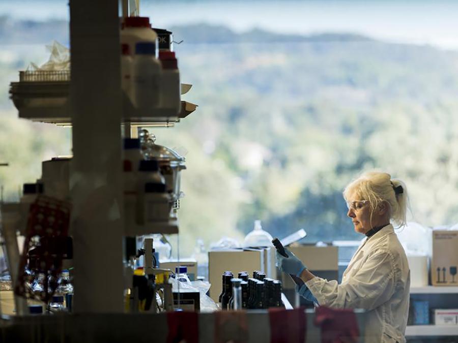 Wine and Viticulture | Waite Research Institute | University of Adelaide